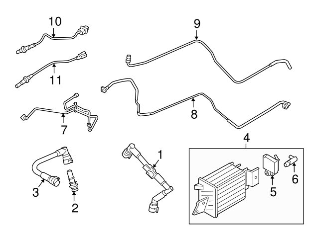 2017-2020 Ford F-150 Hose HL3Z-9L291-B | Tom's Ford Truck Parts