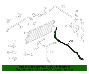 LC3Z-8286-H - Lower Hose 2020-2024 Ford | AutoNation Parts