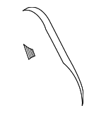 Shop OEM Land Rover Belts and Hoses Online | Land Rover Parts Counter