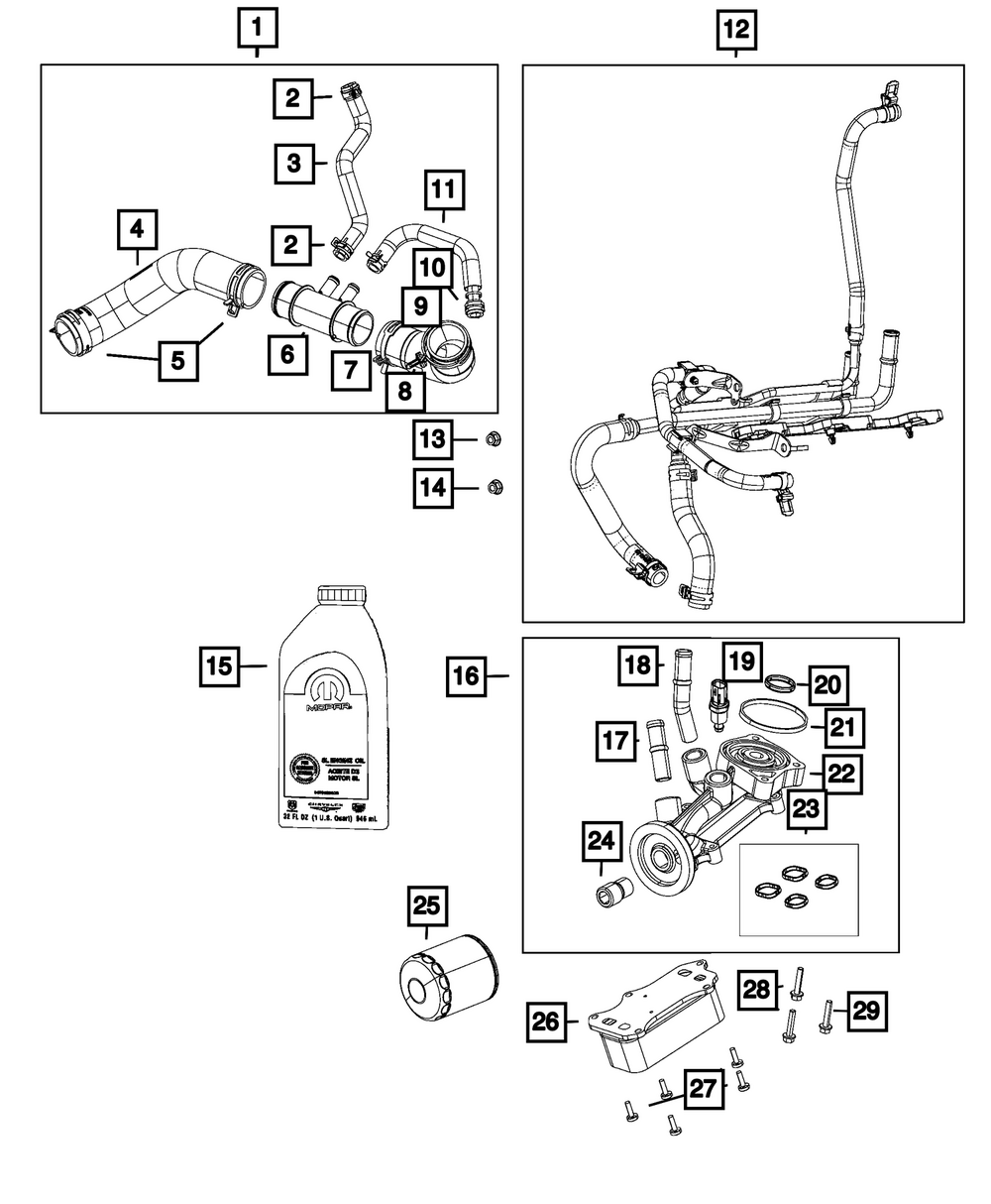 2019-2025 Ram Radiator Outlet Hose 68359796AF | My Mopar Parts