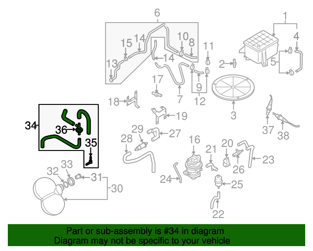 4E0-201-919 - Hose Assembly 2005-2009 Audi | Audi OEM Parts