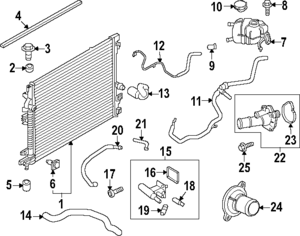 F2GZ-8075-C - Overflow Hose 2015-2017 Ford Edge | Ford OEM Parts Direct