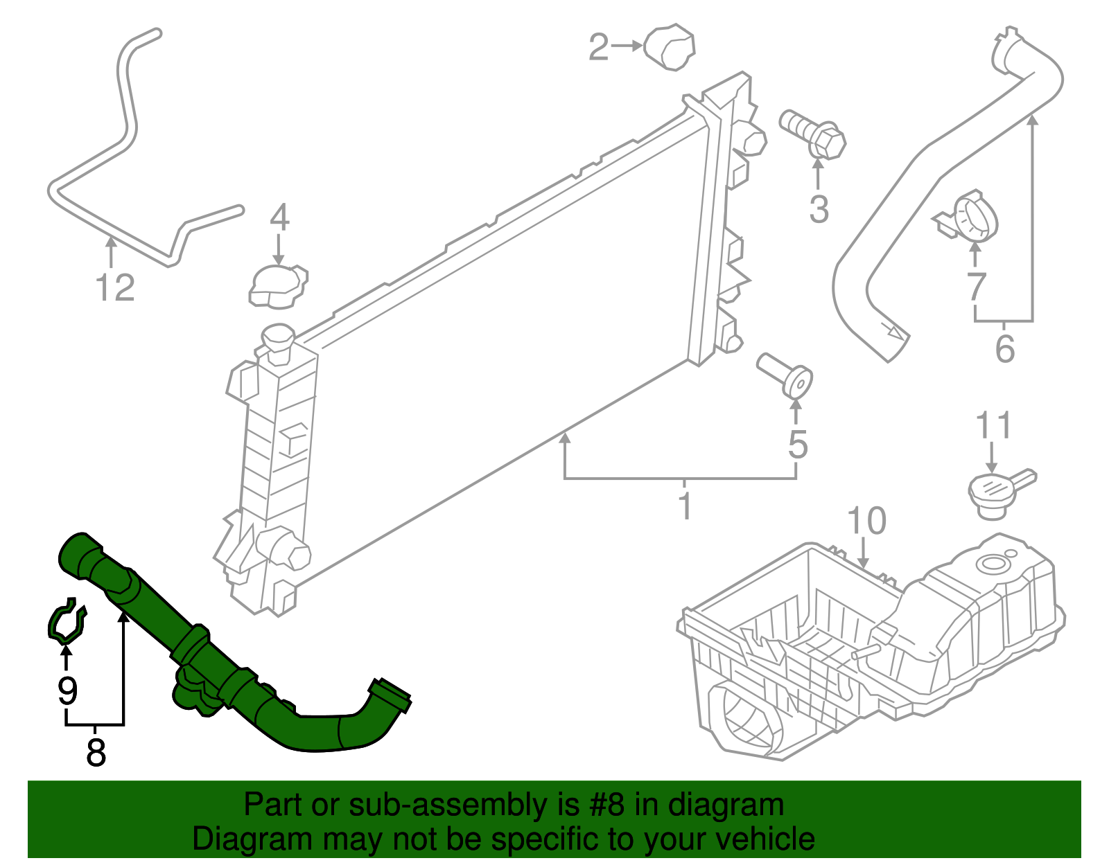 BL3Z-8286-D - Lower Hose 2011-2014 Ford F-150 | Big 3 Auto Parts