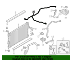 2013-2016 Ford Overflow Hose GV6Z-8B081-K | GetOEMParts.com