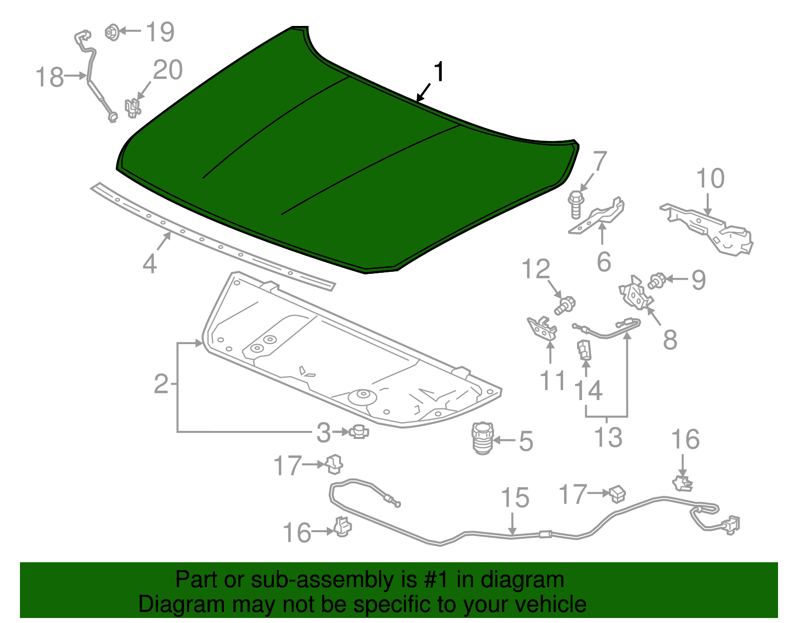 2018-2022 Honda Accord Hood 60100-TVA-A00ZZ | OEM Parts Online