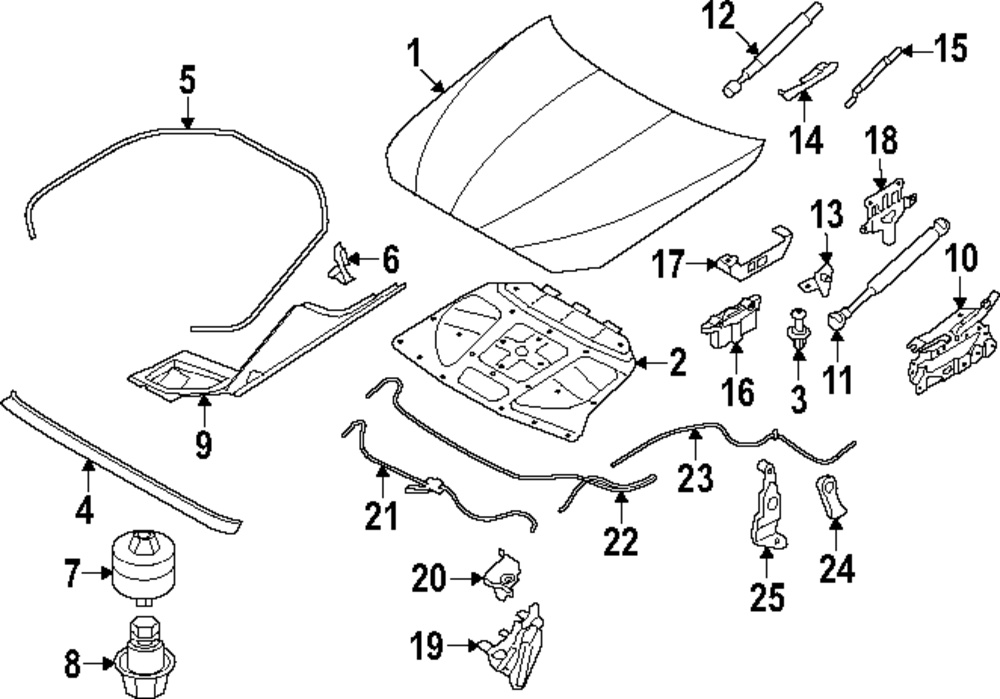51767206521 - 2011-2016 BMW Front Hood Seal (51-76-7-206-521) | BMW of ...