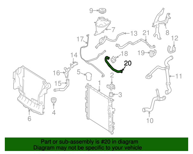2009-2012 Mercedes-Benz Lower Hose 251-501-84-82 | MB OEM Parts