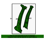 83A-810-073-A - Pillar Reinforced 2019-2024 Audi Q3 | Audi OEM Parts