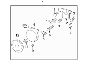 1990-2017 GM Multi-Purpose Nut 11609872 | Auto Parts Express