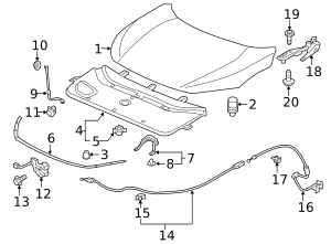 OEM 2016-2021 Honda Civic Hood, Engine 60100-TBA-A00ZZ | Honda ...