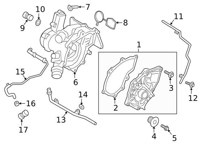 2013-2020 Volkswagen Water Inlet Pipe O-Ring WHT-006-114 | QuickParts