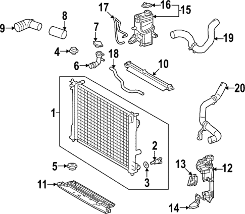 Radiator & Components for 2024 Lexus NX350h | OEM Parts Online