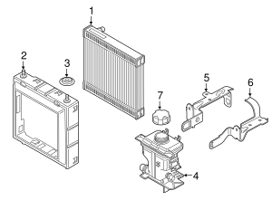 17-11-8-619-385 - Mount Bracket Grommet 2016-2022 BMW | BMW OEM Parts