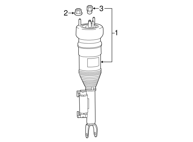 205-320-61-30 - Suspension Strut 2017-2023 Mercedes-Benz C 300 ...