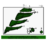 2022 Hyundai Tucson Daytime Run Lamp 92207-N9160 | OEM Parts Online