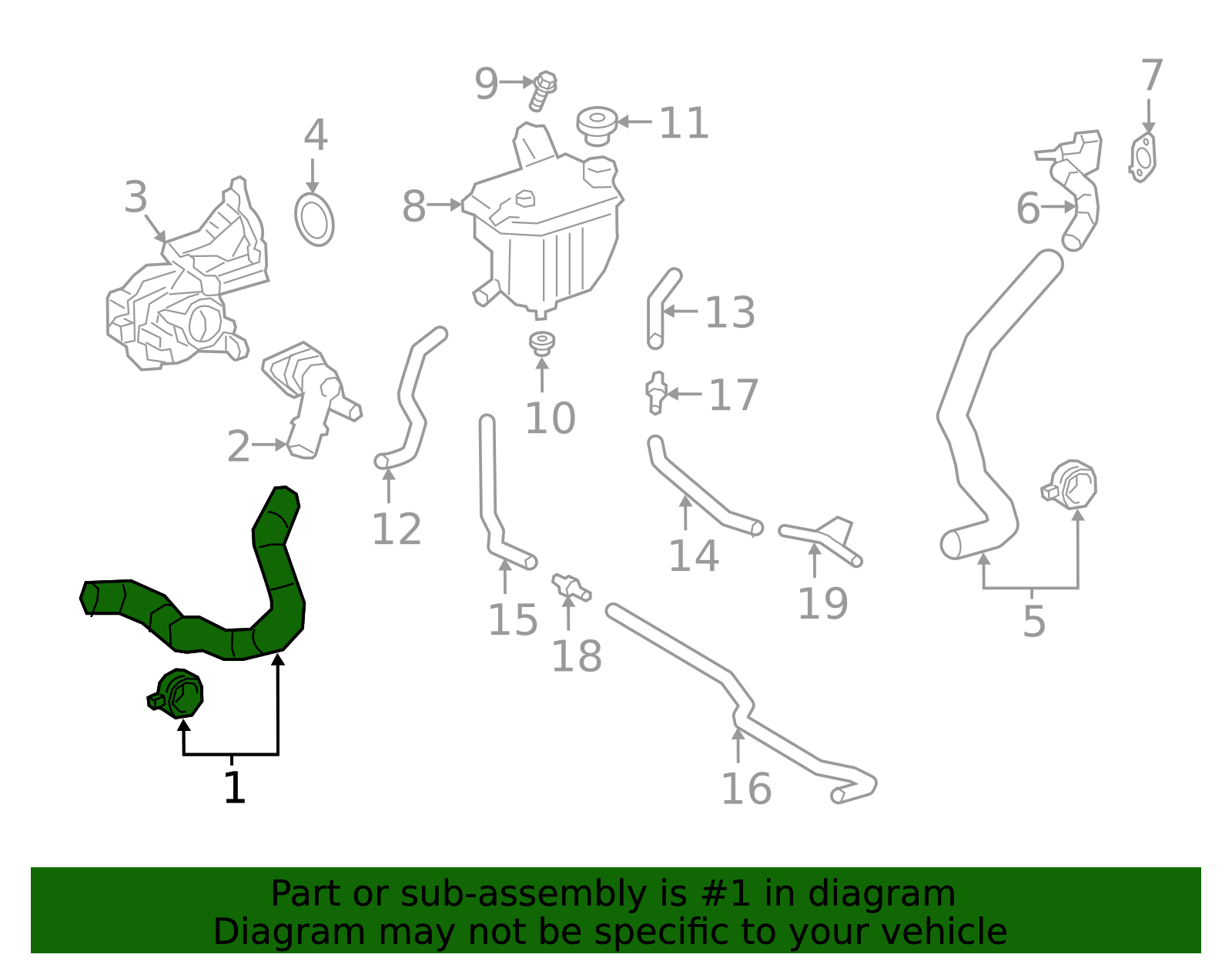 2020-2024 Toyota Lower Hose 16572-F2010 | Toyota Parts Center