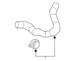 2020-2024 Toyota Lower Hose 16572-F2010 | Toyota Parts Center