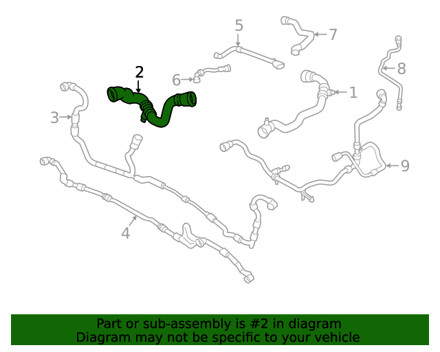 Genuine BMW 17-12-8-662-842 | Lower Hose | FREE Shipping on Most Orders ...