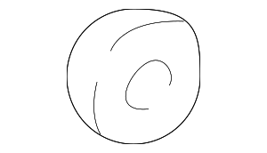 90430-05013 - Bumper Cover Seal - 1999-2007 Toyota | OEM Genuine Toyota ...