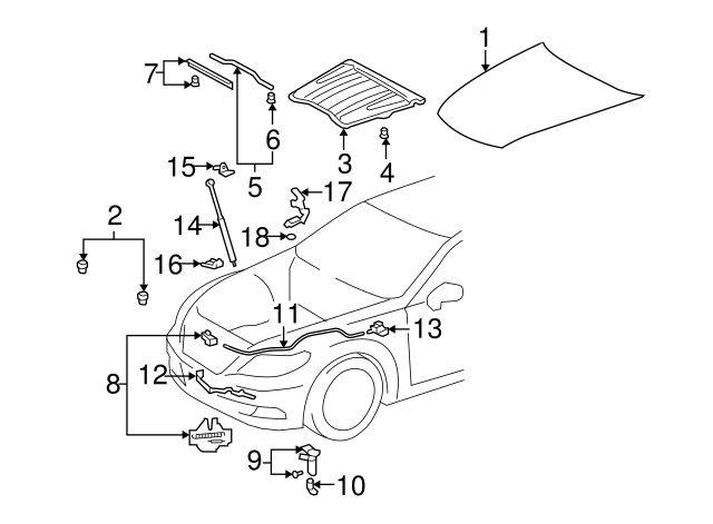 53384-50010 - Hood Cushion - 2007-2012 Lexus | MyLexusParts
