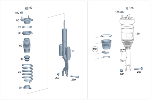 Front Suspension Strut and Suspension Strut Mount for 2019 Mercedes ...