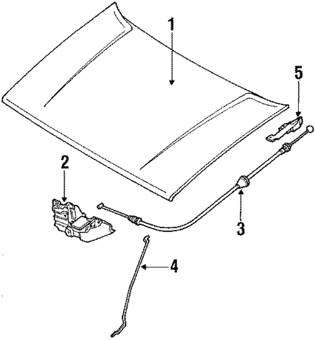 1988-1997 Isuzu Hood 8972523910 | Isuzu Parts Center