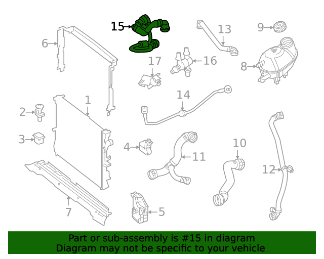 206-501-07-00 - Lower Hose 2022-2024 Mercedes-Benz | Mercedes-Benz USA ...