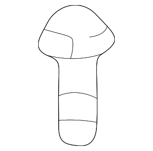 90080-11578 - Inlet Duct Screw - 2002-2006 Toyota Camry | OEM Genuine ...