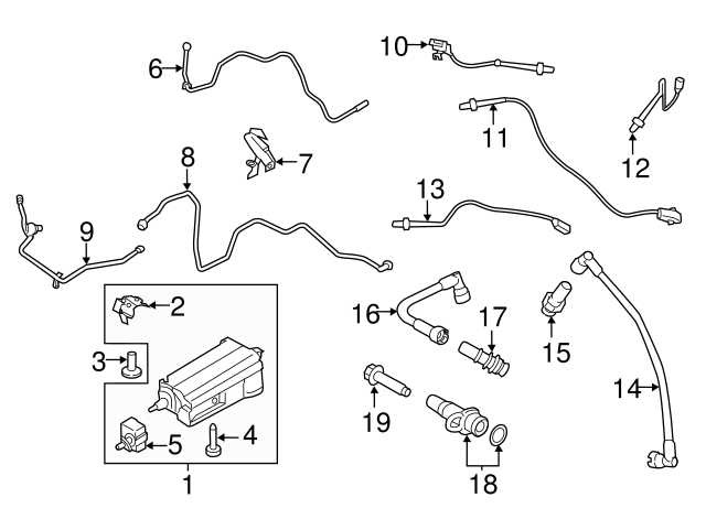 2018-2021 Ford PCV Valve Hose JL3Z-6A664-A | OEM Parts Online