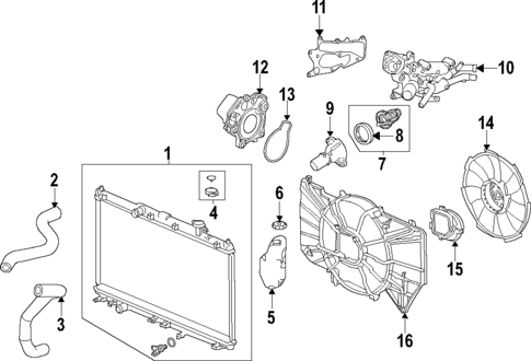 Cooling System for 2019 Honda Accord | Conicelli Honda