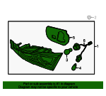 2017-2018 Hyundai Elantra Backup Lamp Assembly 92403-F2000 | OEM ...