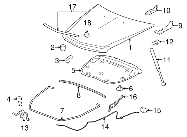 2010-2014 Cadillac CTS Hood Insulator 22779356 GM | GMPartsDirect.com