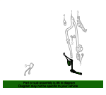 2011-2012 Chevrolet Malibu Ebony Passenger Seat Belt with Retractor and ...