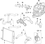 Radiator Hoses - Genuine GM Parts | GMPartsDirect.com