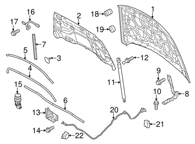 2010-2019 Ford Hood Insulation Pad DG1Z-16738-A | OEM Parts Online