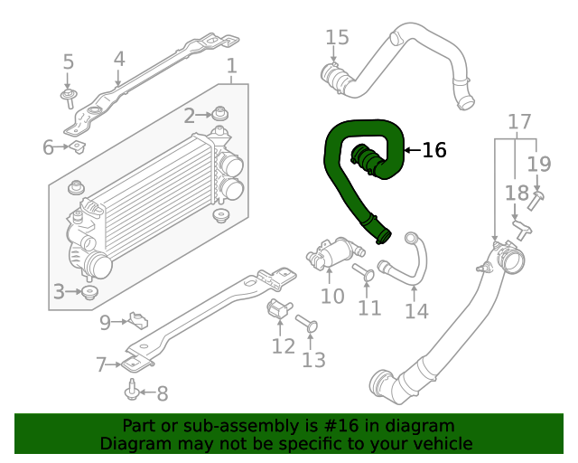 FL3Z-6C646-A - Lower Hose Ford 2015-2016 Ford F-150 | Parts for Sale Online