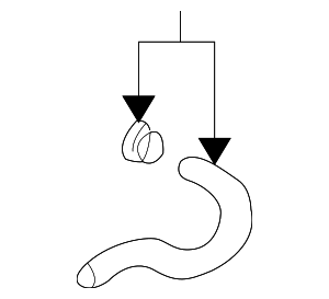 25469-37201 - Engine Coolant Hose 2001-2010 Kia | Kia.Parts Store
