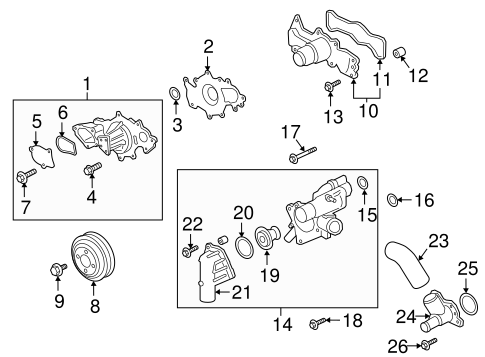 Water Pump for 2019 Ford F-150 | OEM Ford Part