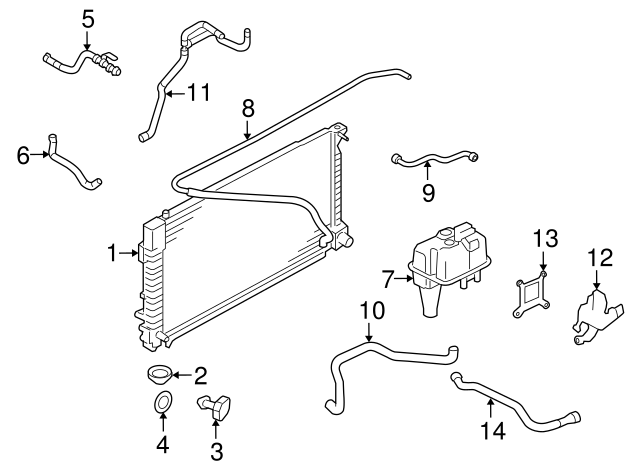 2005-2008 Ford Overflow Hose 5L8Z-8C633-AD | Blue Springs Ford Parts