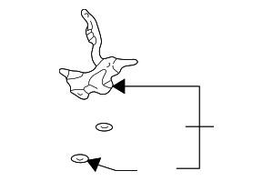Toyota Hinge 53410-AC020 | Auto Parts