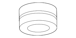 2012-2020 GM End Cap Retainer 11571016 | QuirkParts