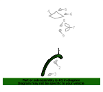 2018-2023 Nissan Kicks Wheel Opening Molding 93829-5RB0A | Pro Nissan Parts