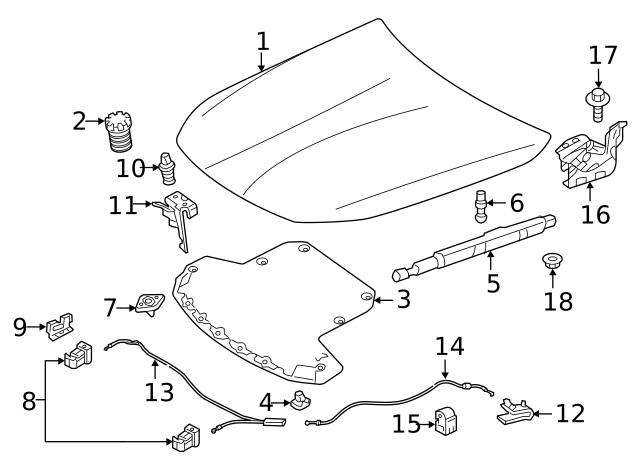 2139800264 - Lift Cylinder 2015-2023 Mercedes-Benz | AutoNationParts.com