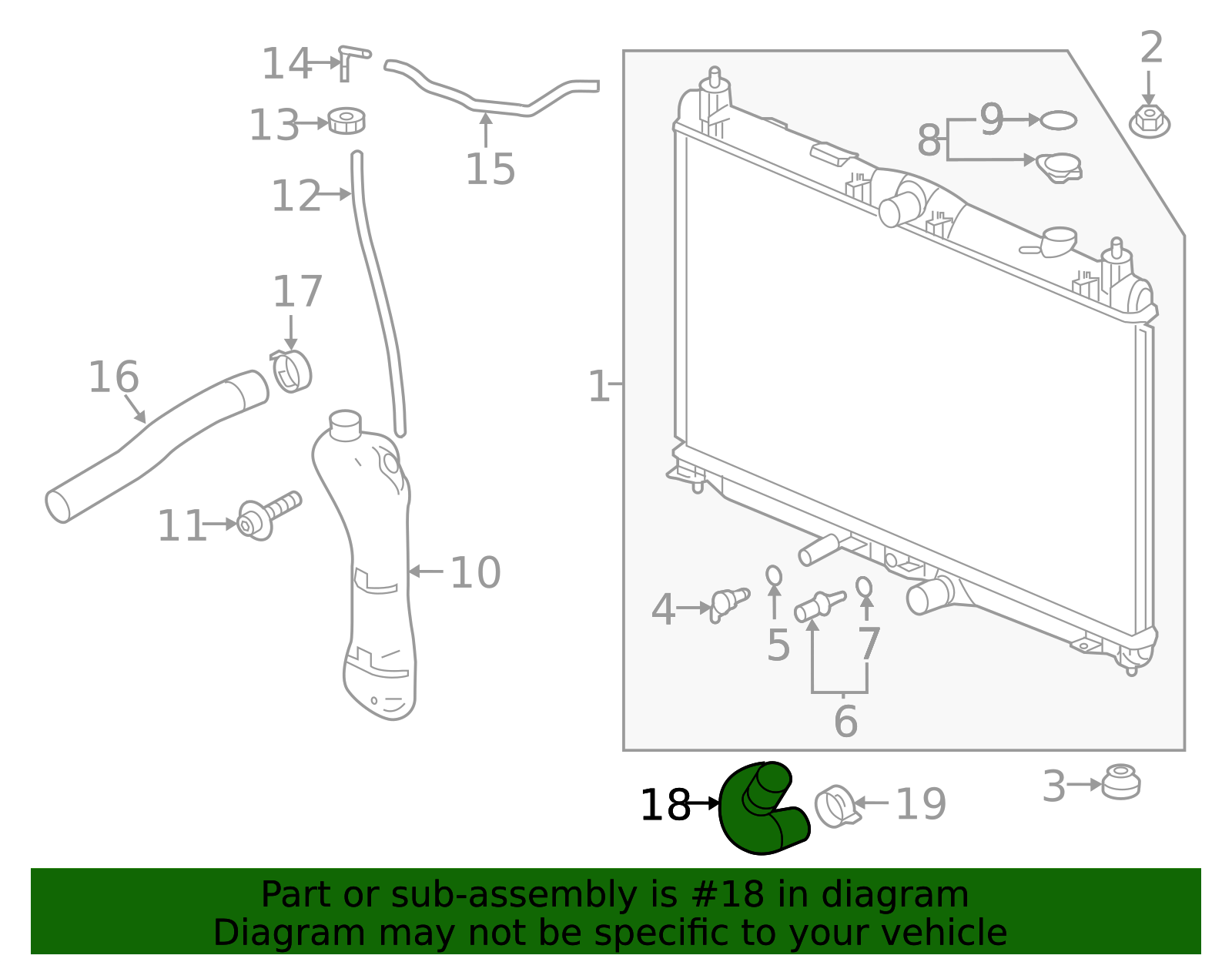 19502-6L2-A00 - Lower Hose 2019-2022 Honda Insight | Honda Parts Online