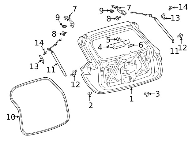 2012-2020 Ford License Mount Nut -W714172-S300 | QuirkParts