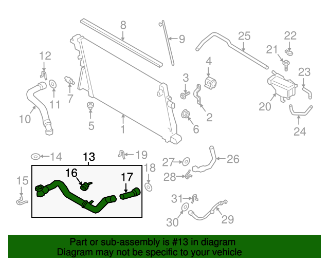 2017-2019 Ford Lower Hose HC3Z-8286-E | OEM Parts Online
