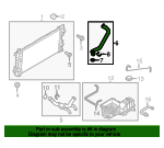 2011-2014 Ford F-150 Upper Hose CL3Z-8260-A | OEM Parts Online