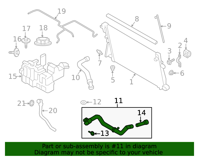 HC3Z-8286-E - Lower Hose 2017-2019 Ford | Ford Parts Direct