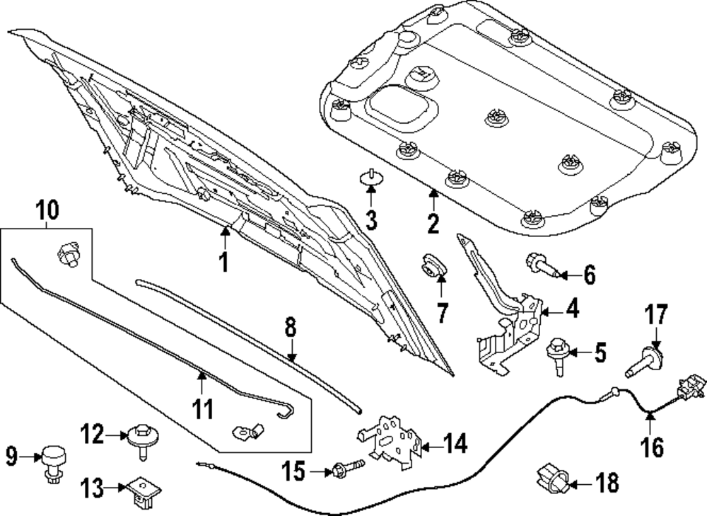 2021-2024 Ford Bronco Weatherstrip M2DZ-16B990-C | TascaParts.com