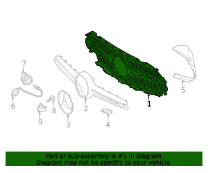257-885-25-02 - Grille Assembly 2019-2021 Mercedes-Benz CLS 53 AMG ...